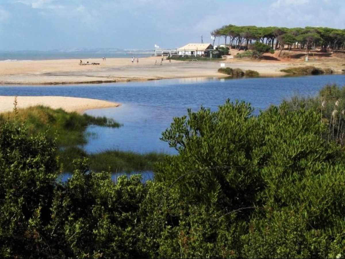 Loulé aprova Foz do Almargem e do Trafal como Reserva Natural Local ...