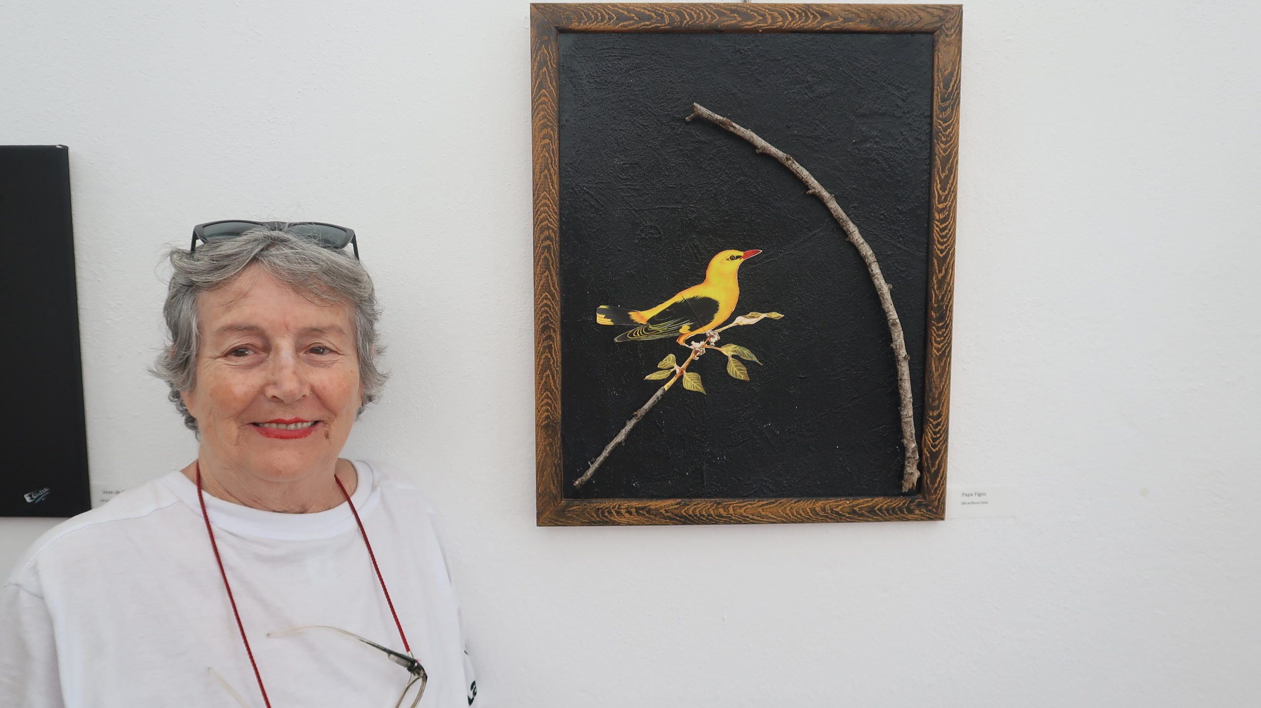 Exposição ‘Brincadeiras’ mostra liberdade de Elisa Rafael no Convento ...